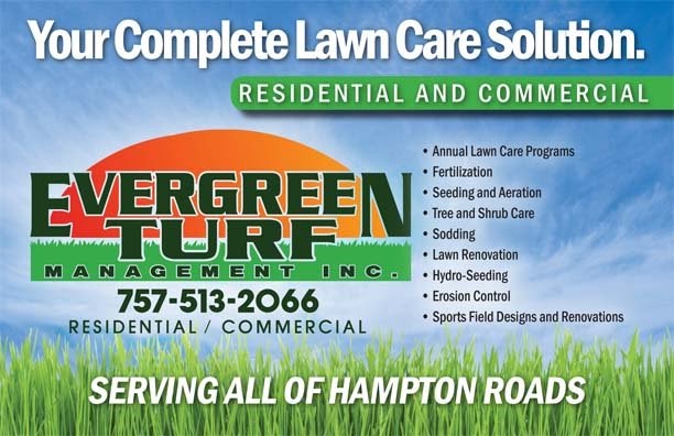 Virginia Beach Graphic Design: Evergreen Turf
