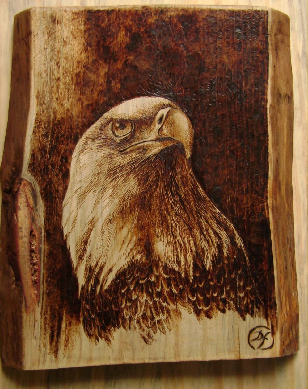 Desenhos de Fogo - Pirogravura / Pyrography: IMPONENTES