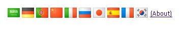 google+translation+flags.jpg