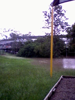 Fig Tree Pocket Friends: Flood Photos January 2011