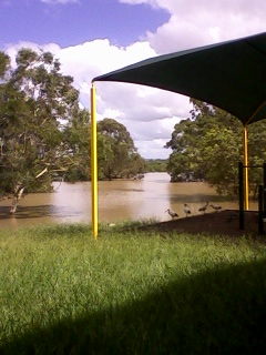Fig Tree Pocket Friends: Flood Photos January 2011
