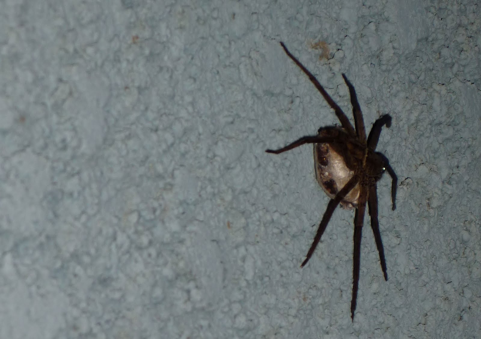 From Maurice to Maurice: Une bien belle semaine