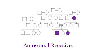 Genetic Inheritance: Autosomal Recessive: Metachromatic Leukodystrophy