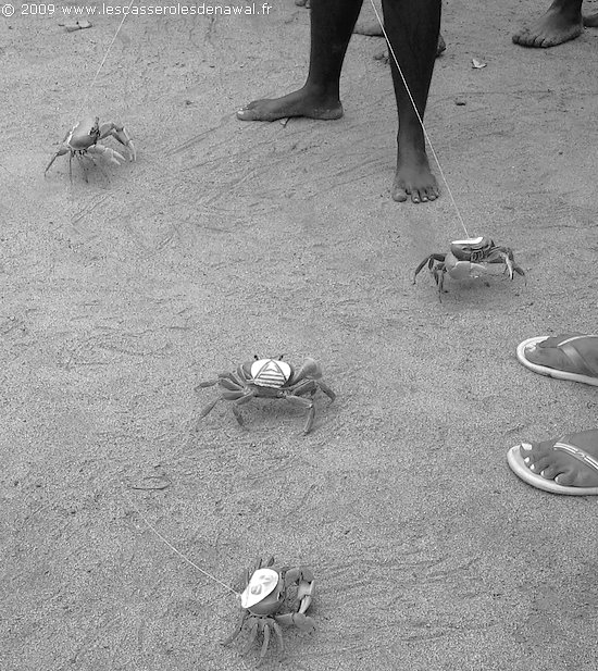 Les Casseroles de Nawal: Matoutou de Crabes pour des Fêtes Pascales à l ...