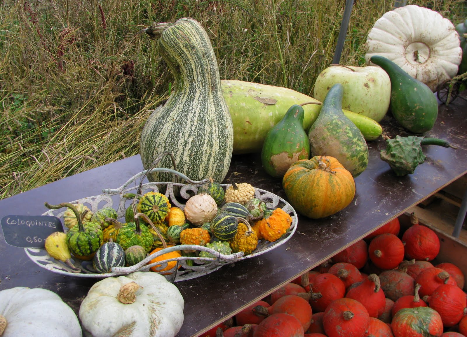 The Dirty Dance of The Bilot ... Partie II: Potiron, potimarron, courge ...