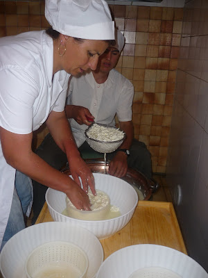 azienda agricola matteucci mauro