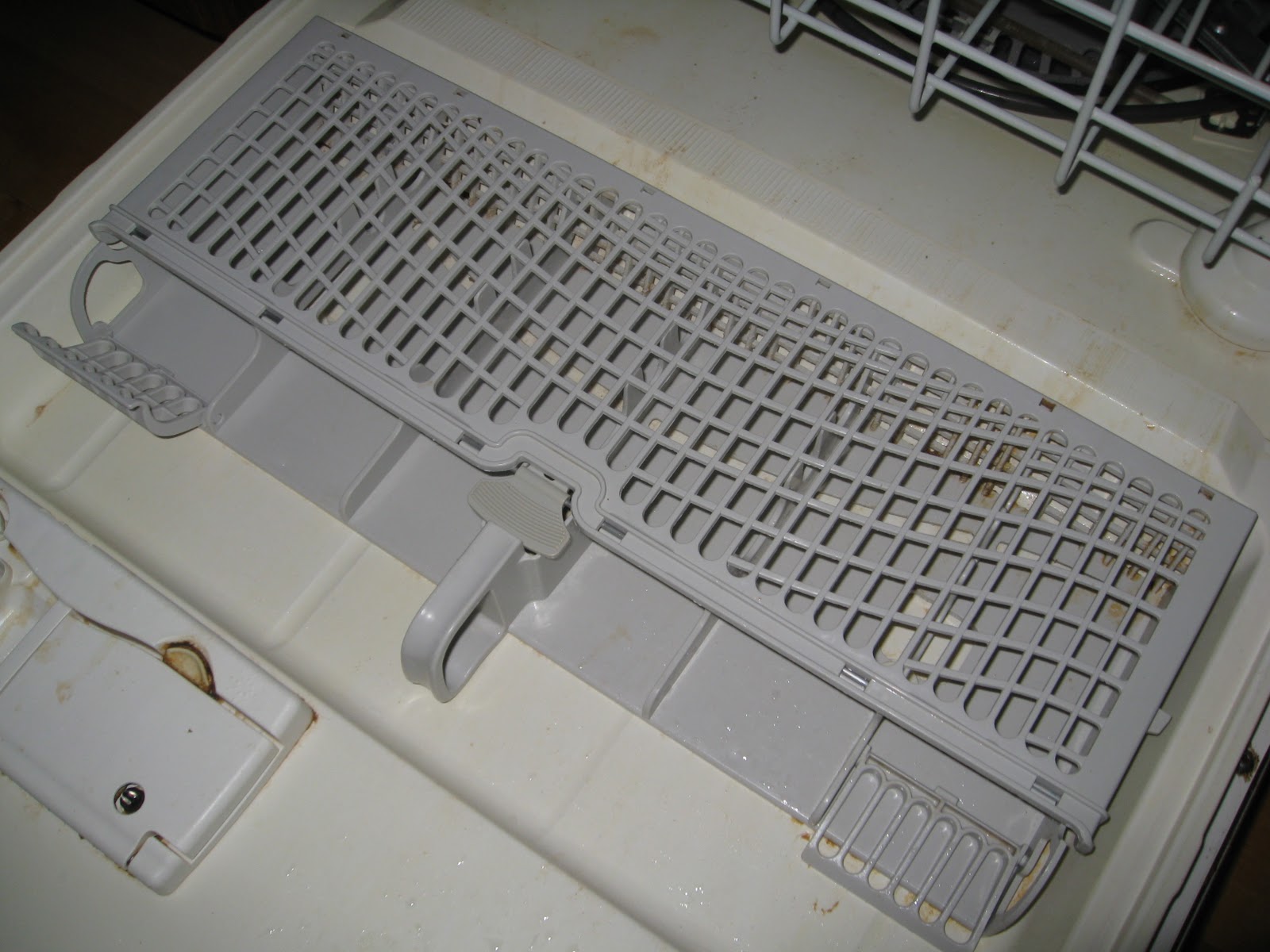 Honest & Truly Reviews....: Giveaway: Activeion ionator HOM