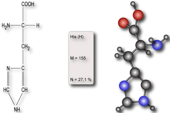 CABEÇA FEITA**********: HISTIDINA
