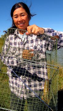 Georgina River - Lake Katherine: Georgina River System - Lake Katherine