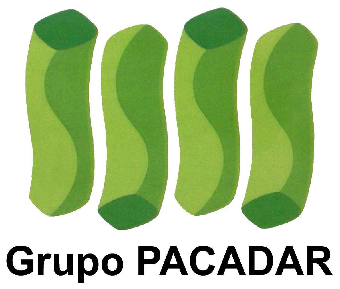 Pacadar proyecta nueva planta | Noticias Construccion