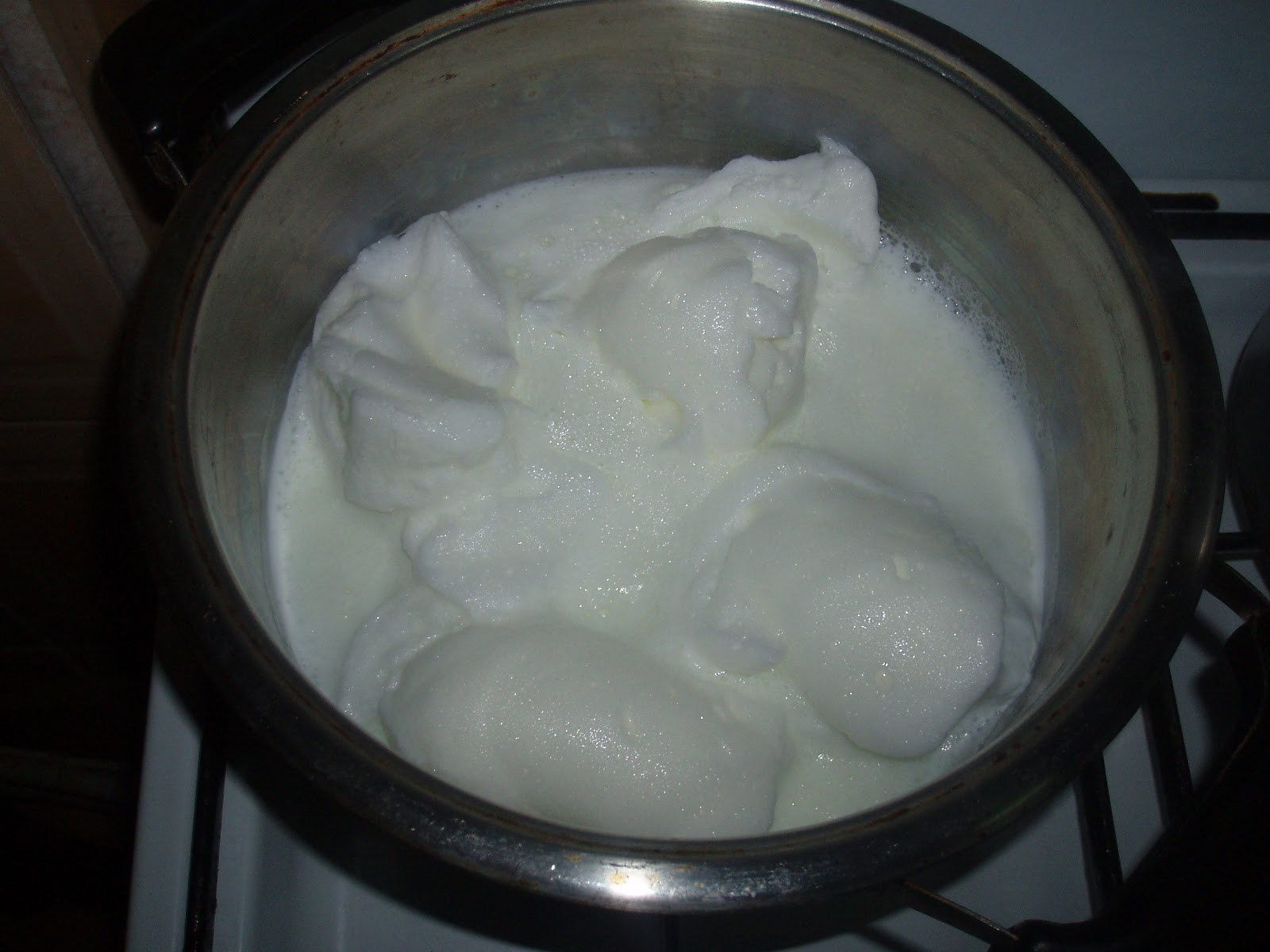 Adventures in Flavorland: Romanian Bird's Milk ("Lapte de pasăre")