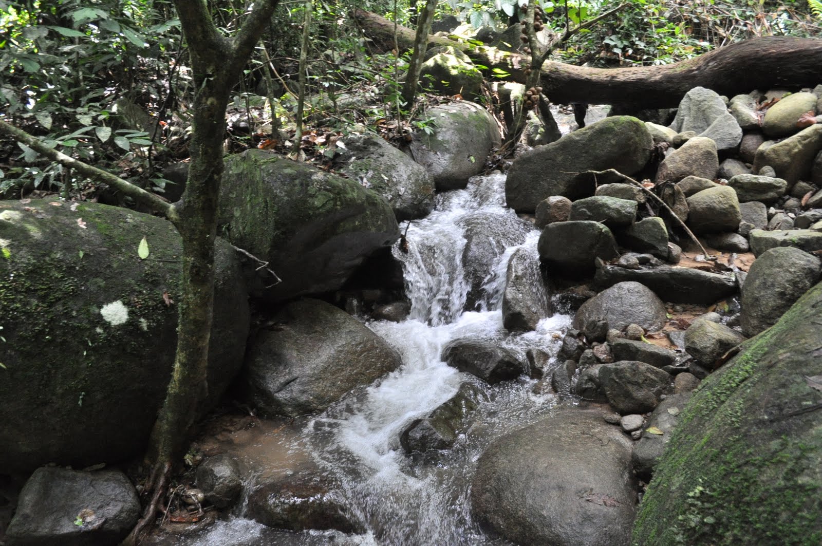 Cemperai Sari Resort