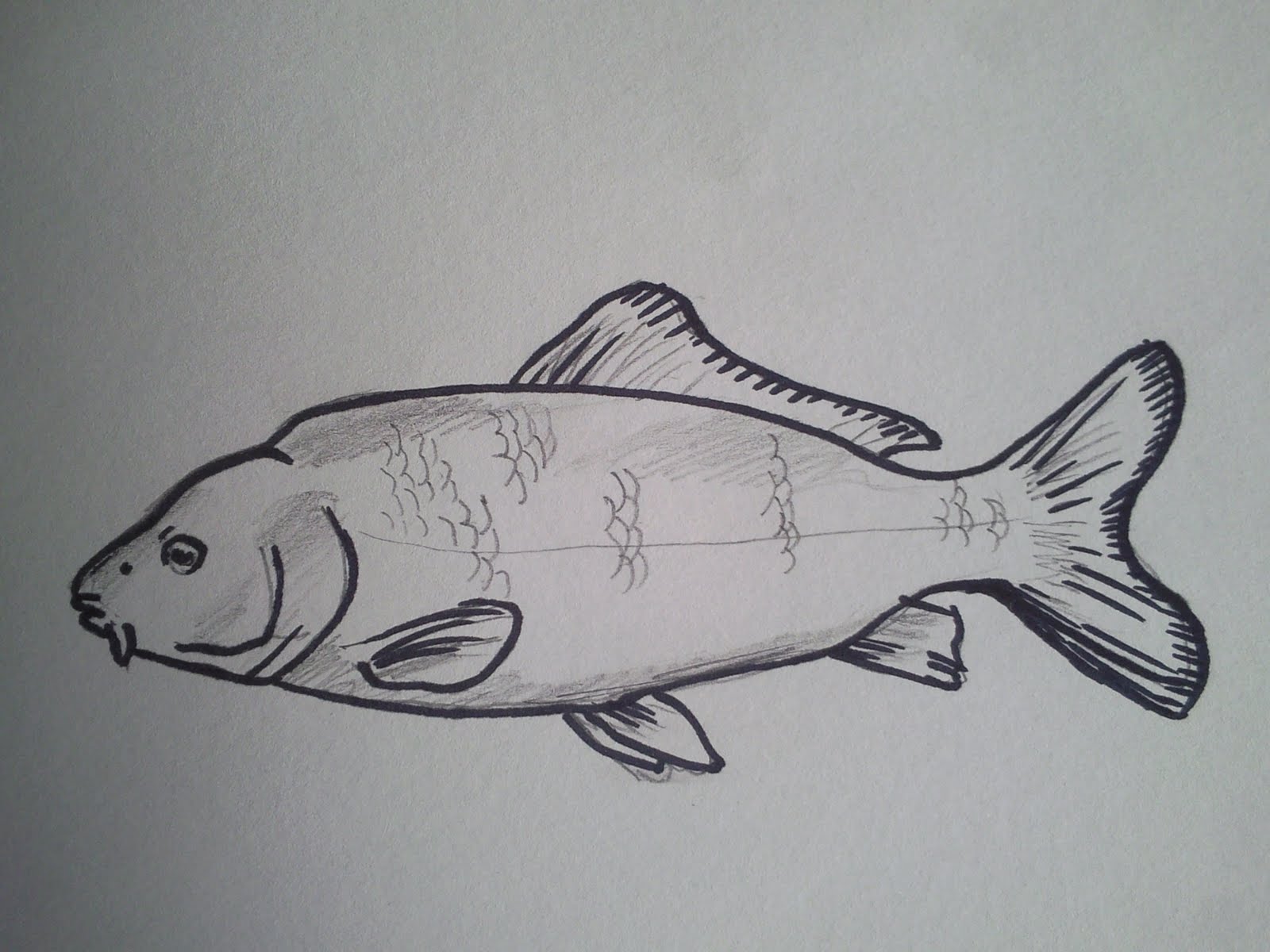 3D Modelling and Animation