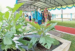 PANDU PUTERI SM PJNPHAB, BRUNEI: Royalty at World Thinking Day