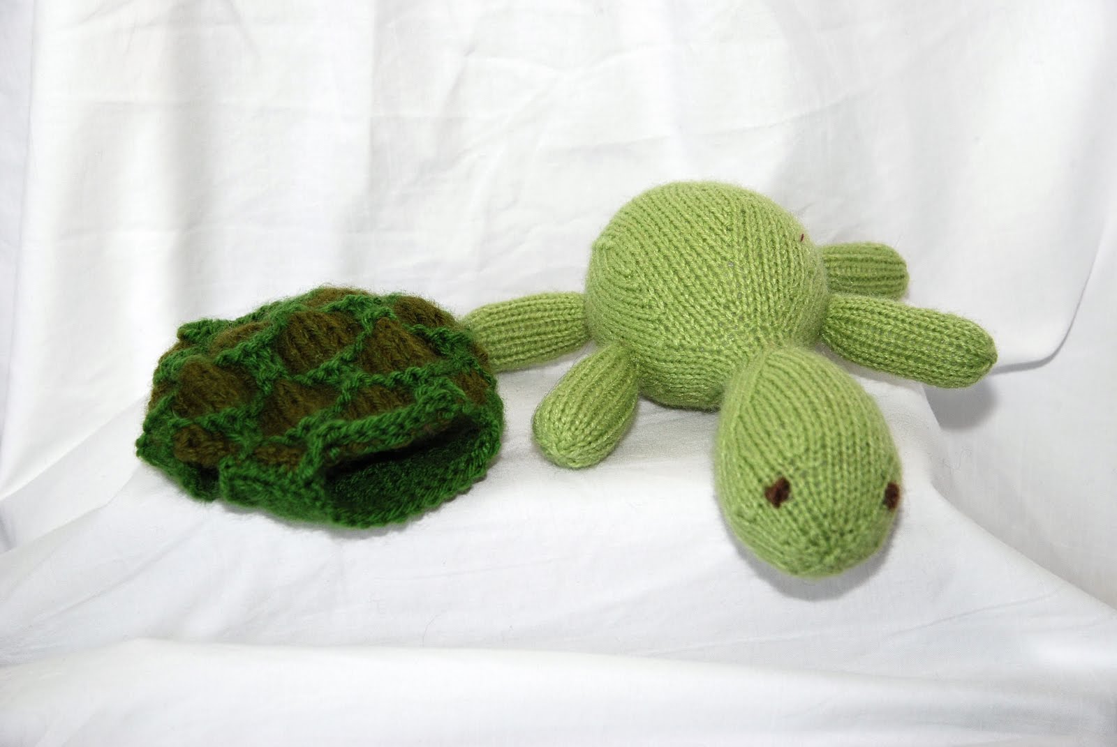 Egret Effects: Sheldon the turtle