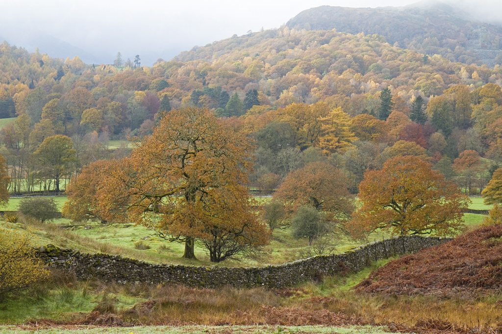 Digphotogman: Joe Cornish