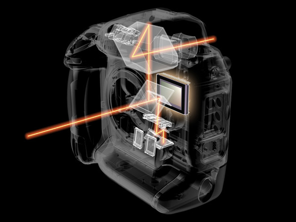 Digphotogman: Image Sensors