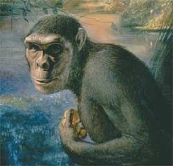 cmccienciastavora: ORRORIN