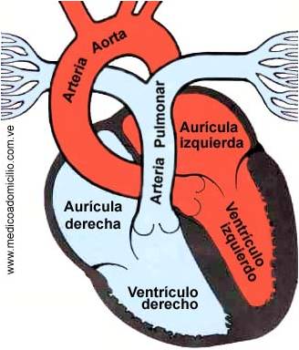 Estrategias de Aprendizaje: Sánchez Acosta Diego: Caras y Bordes del ...