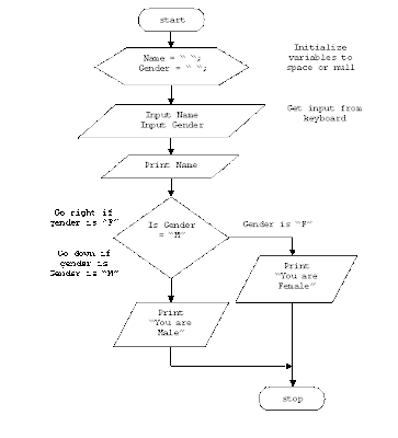 Beginners Programming: Chapter 1, Lesson 4