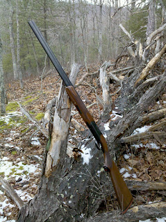 Late-Season Ruffed Grouse (in Virginia?) | Shotgun Forum