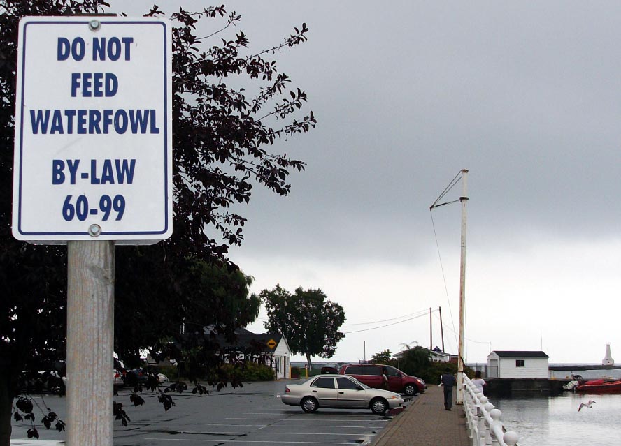 COBOURG OF ALL THINGS: Cobourg Waterfront is a NO ZONE
