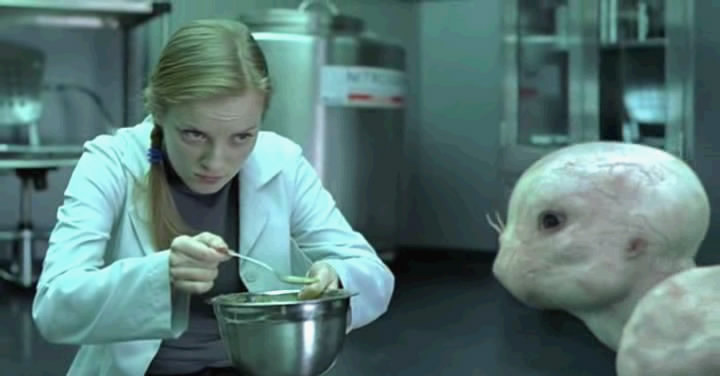 DownloadCentre: Splice 2010