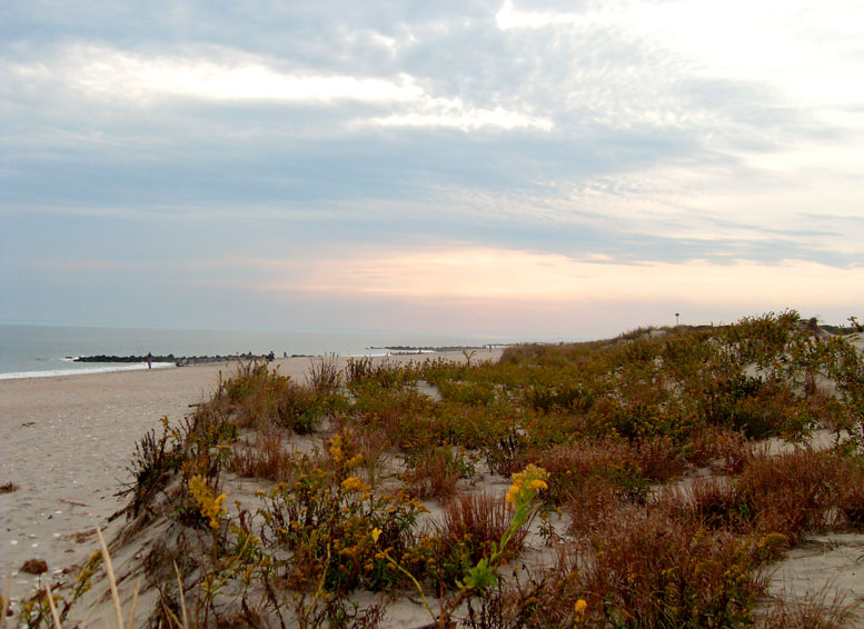 nyc edges: Ft. Tilden, Breezy Point and Riis Park