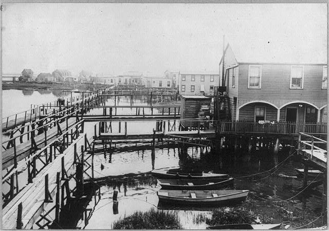 nyc edges: The Islands of Jamaica Bay : Broad Channel and the Wildlife ...