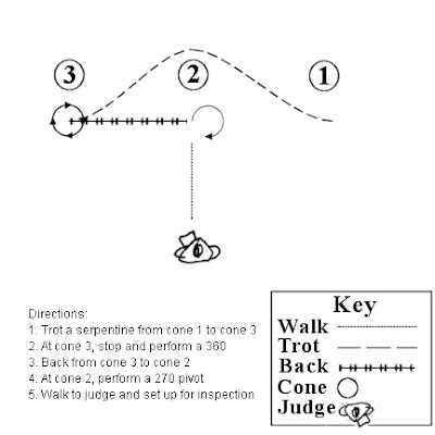 Showmanship Patterns: Pattern 45: Advanced