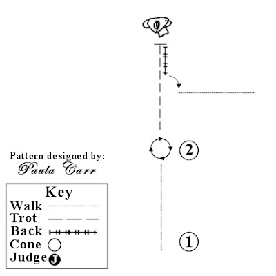 Showmanship Patterns: Pattern 7, Novice