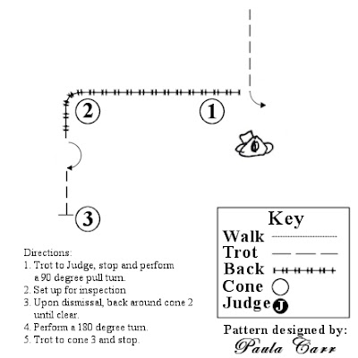 Showmanship Patterns: Pattern 12, Intermediate