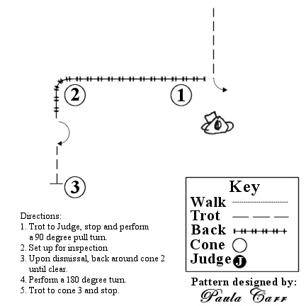 Showmanship Patterns: Pattern 12, Intermediate