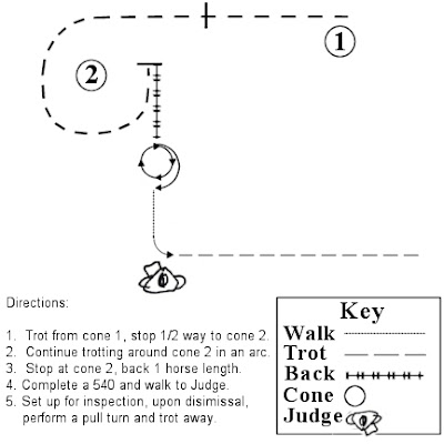 Showmanship Patterns: Pattern 27, Advanced
