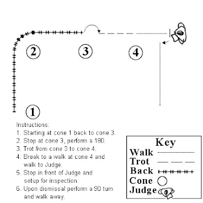 Showmanship Patterns: Pattern 34, Advanced Novice