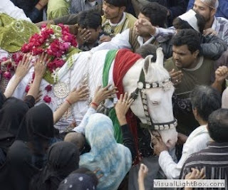 Taziadari Imam Hussain A.S: Zuljanah From All Over The World