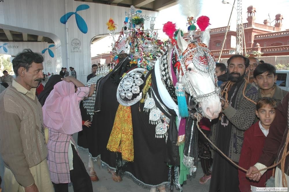 Taziadari Imam Hussain A.S: Zuljanah From All Over The World