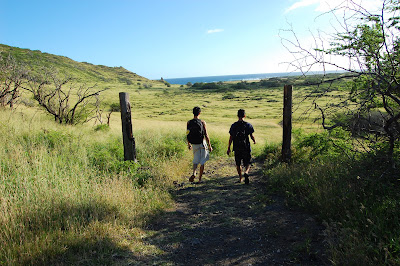 Superblog: Alan Davis