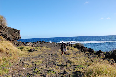 Superblog: Alan Davis