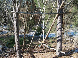 skillz: My winter lean-to shelter