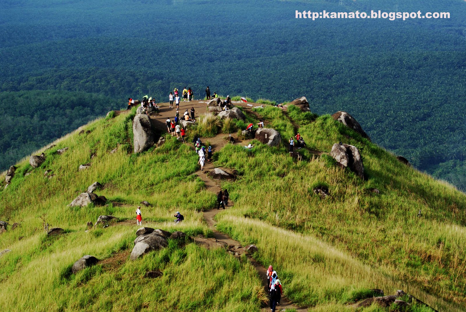 KAMATO: Bukit Broga