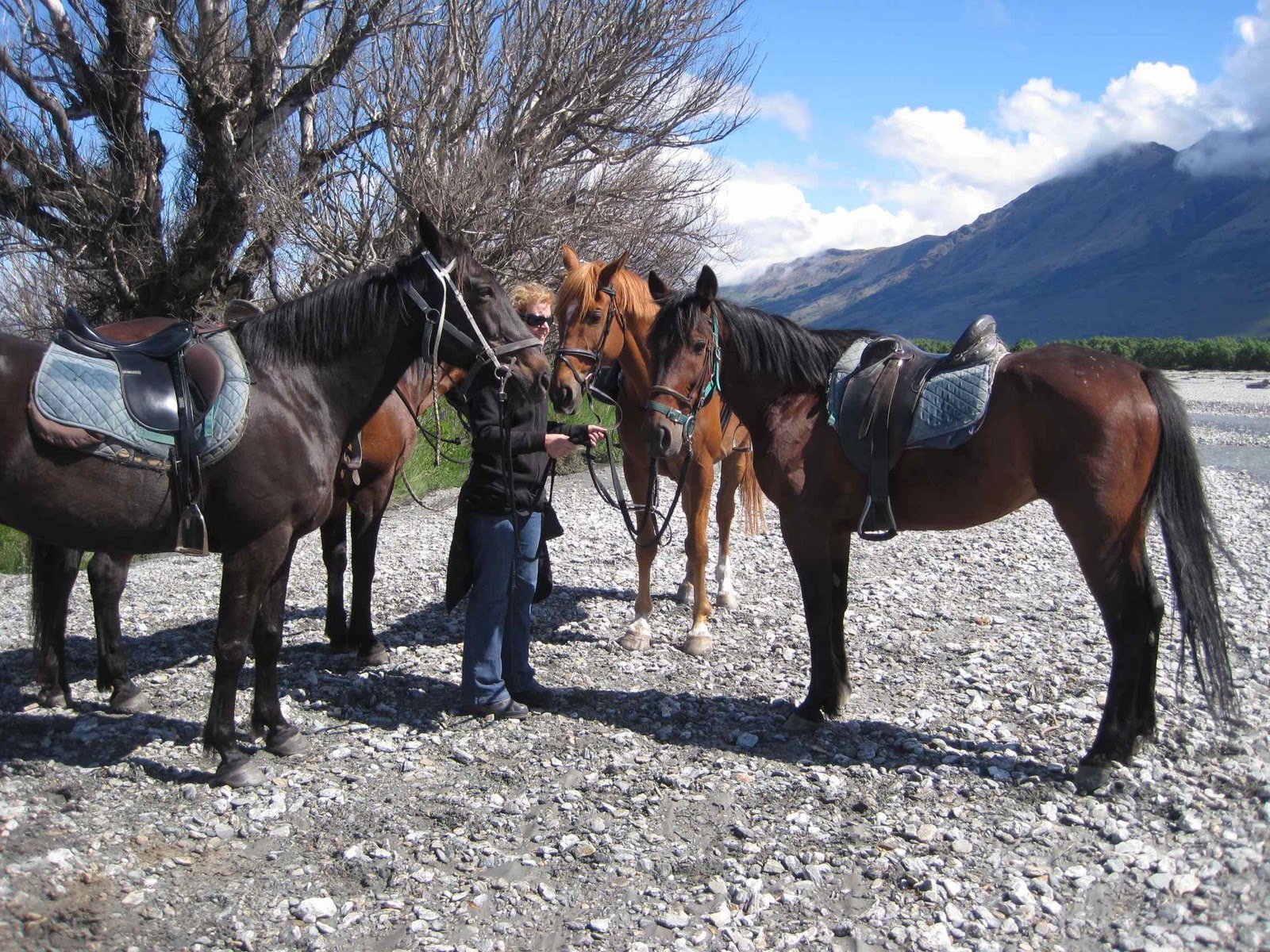 Carolyn in Aotearoa: Horse Riding in Beautiful Glenorchy