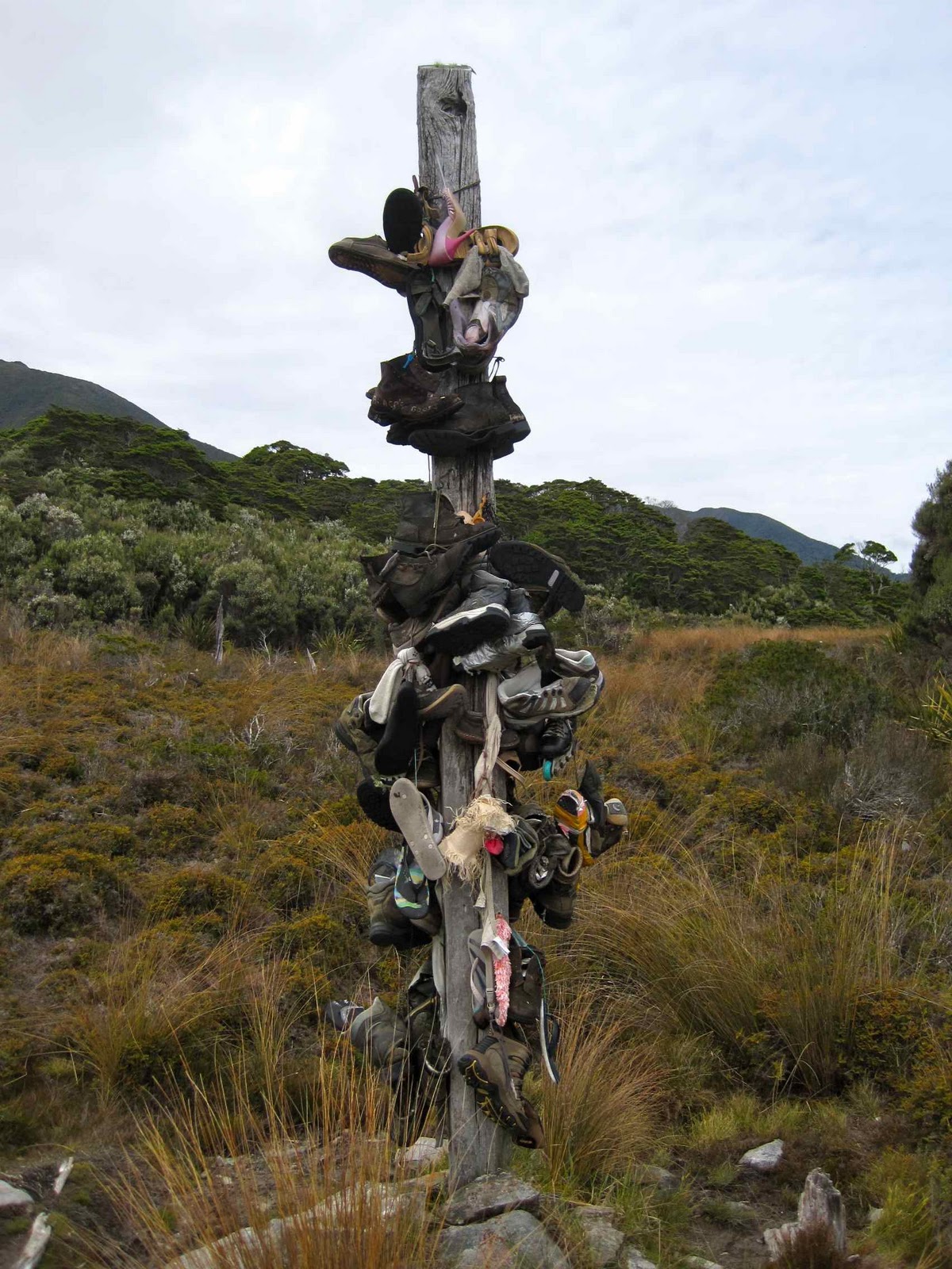 Carolyn in Aotearoa: Heaphy Track, Day Two: Perry Saddle Hut to Saxon ...