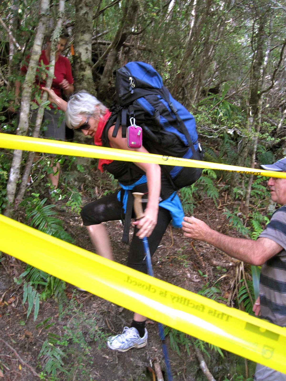 Carolyn in Aotearoa: Heaphy Track, Day Two: Perry Saddle Hut to Saxon ...