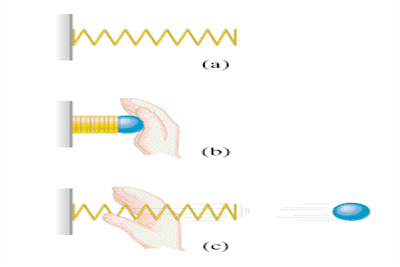 Physics -061&062: Hooke's Law