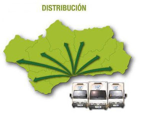 wilson cruz: ESTRATEGIAS DE DISTRIBUCION