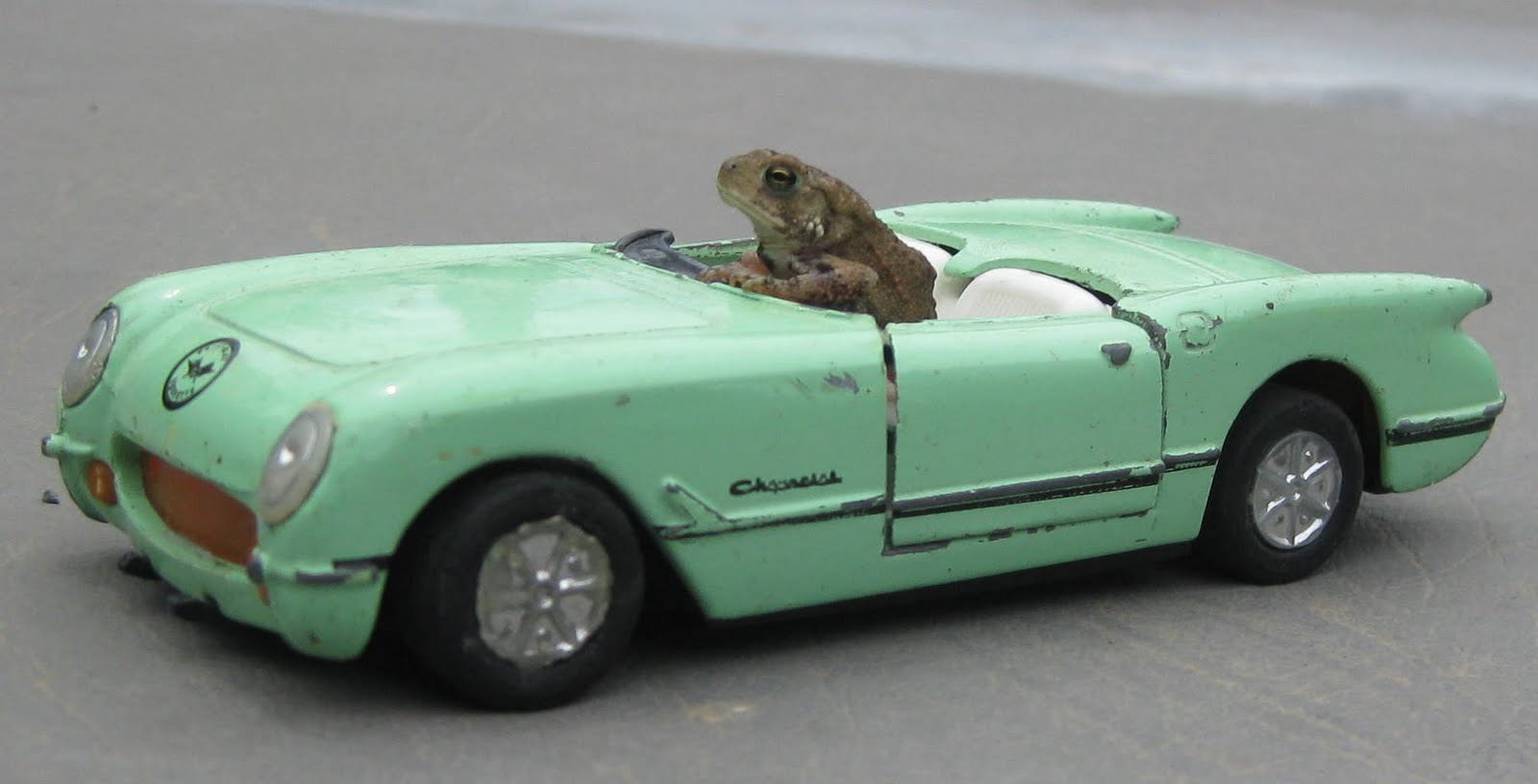 The Pensive Monkey: Fun with Frogs