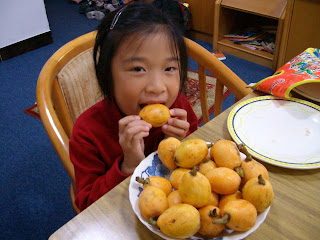 Our Year in Xiamen, China: Pipa fruit and a little culture shock