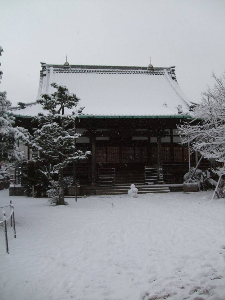 The eye in Japan: Snow in Nagoya II