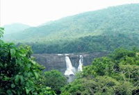 Trip To Bhoothathankettu...: Thattekad Bird Sanctuary
